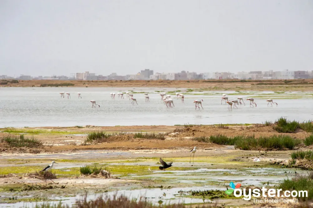 La Marsa Hotels & Resorts | Oyster.com