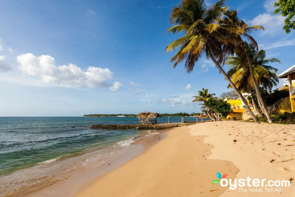 10 Things You Never Knew About the Caribbean | Oyster.com