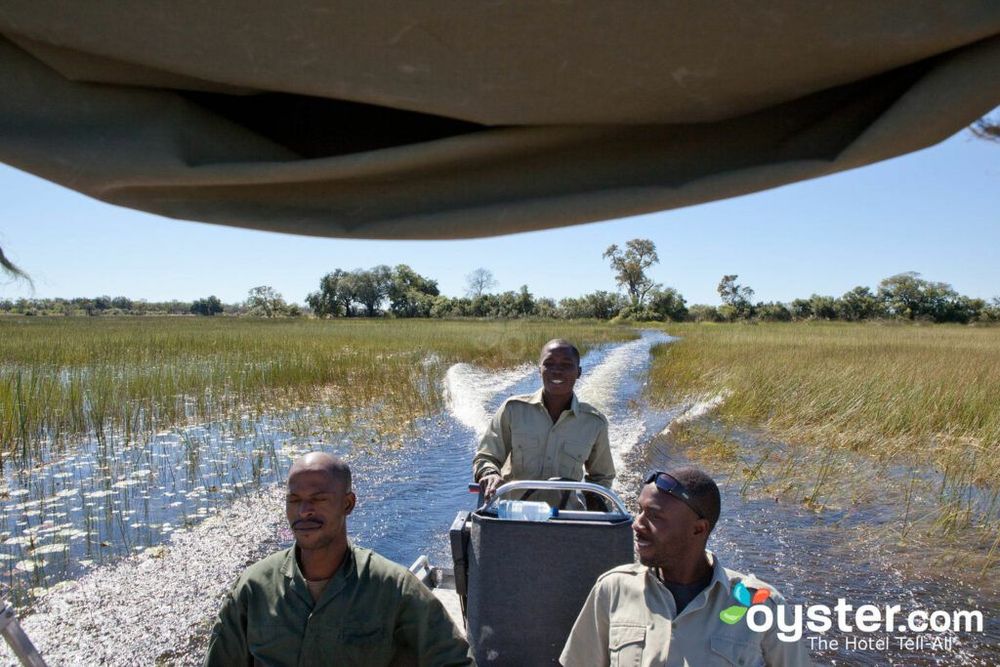 Top Tips for Planning Your First African Safari