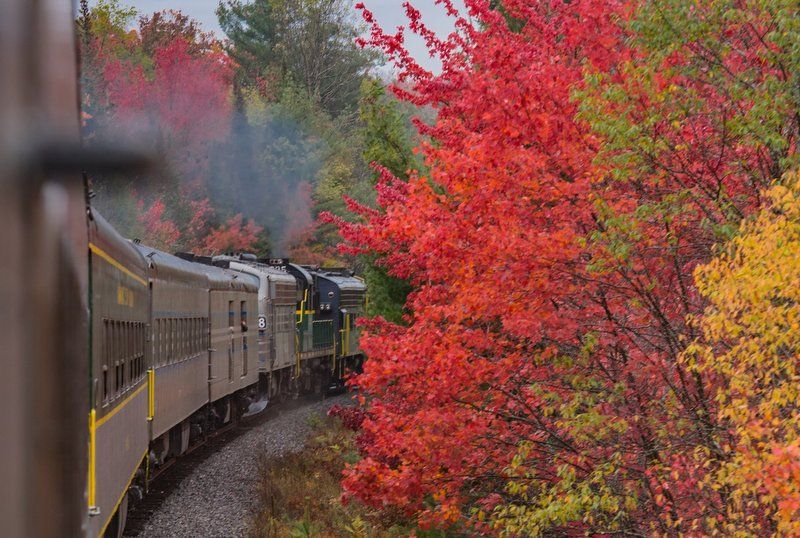 Stunning Fall Foliage Train Rides