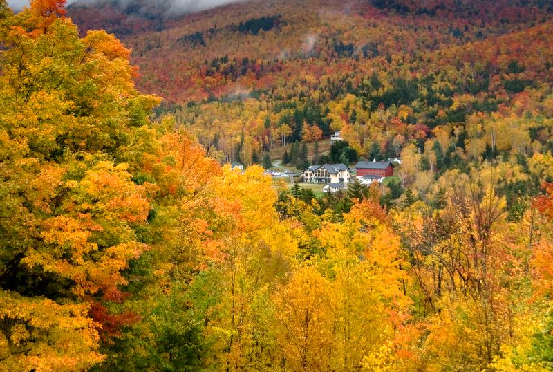 Stunning Fall Foliage Train Rides