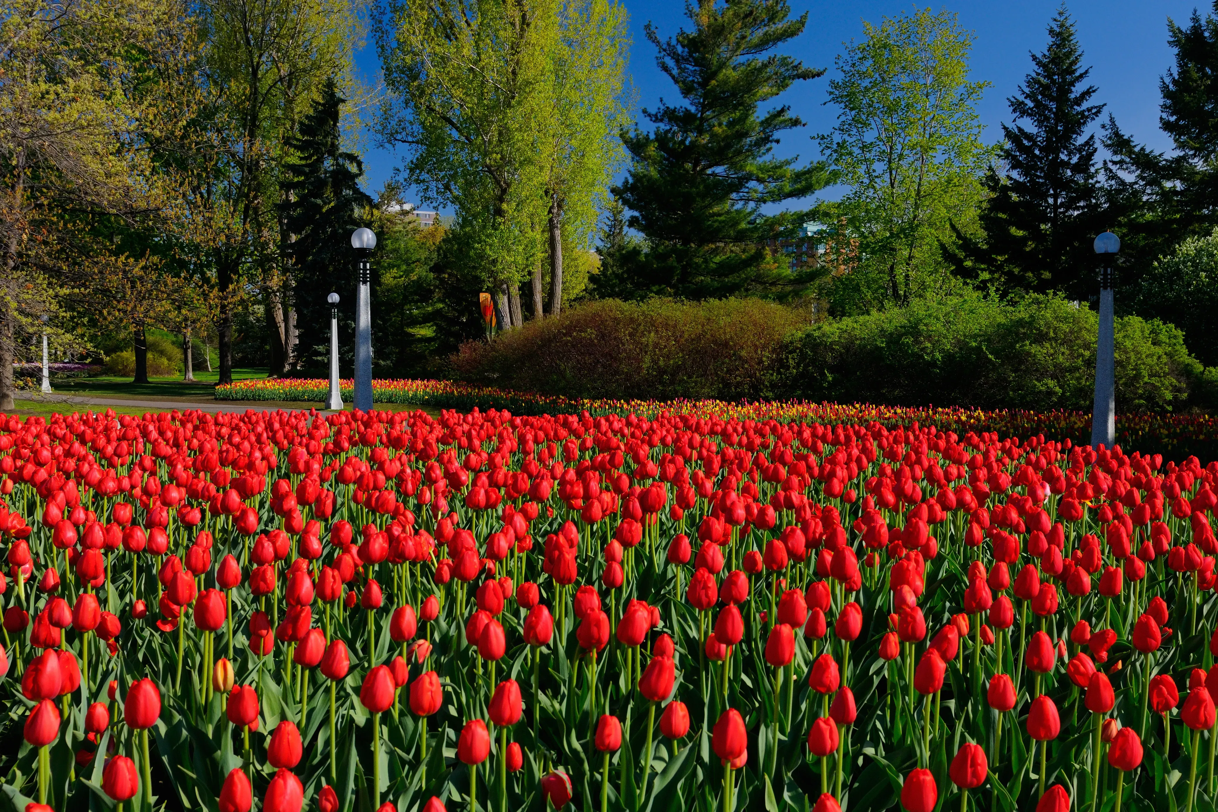 The Ultimate Guide to Ottawa’s Must-See Sights and Activities | Oyster.com