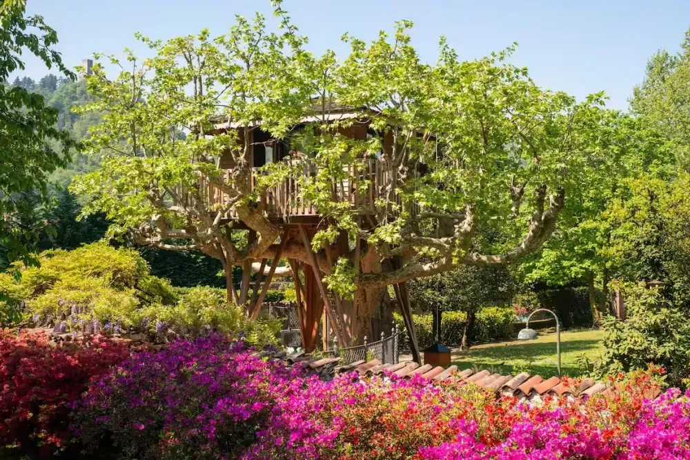 The 10 Coolest Treehouses You Can Actually Sleep In