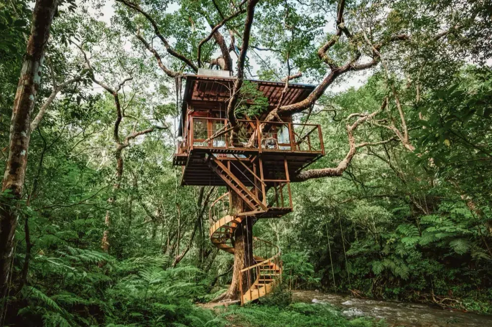 The 10 Coolest Treehouses You Can Actually Sleep In