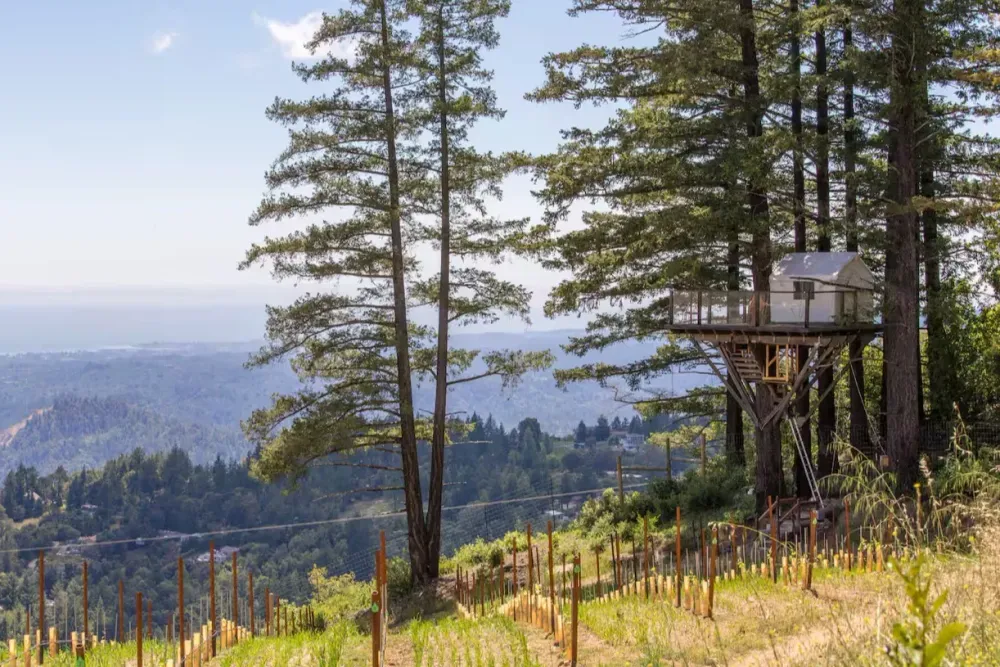 The 10 Coolest Treehouses You Can Actually Sleep In