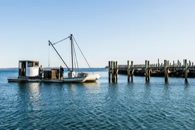 The Tastiest Oyster Farm Tours You Can Take in the US