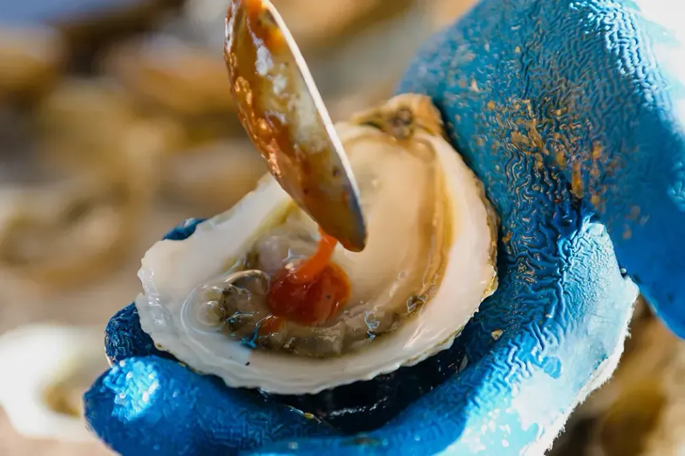 The Tastiest Oyster Farm Tours You Can Take in the US