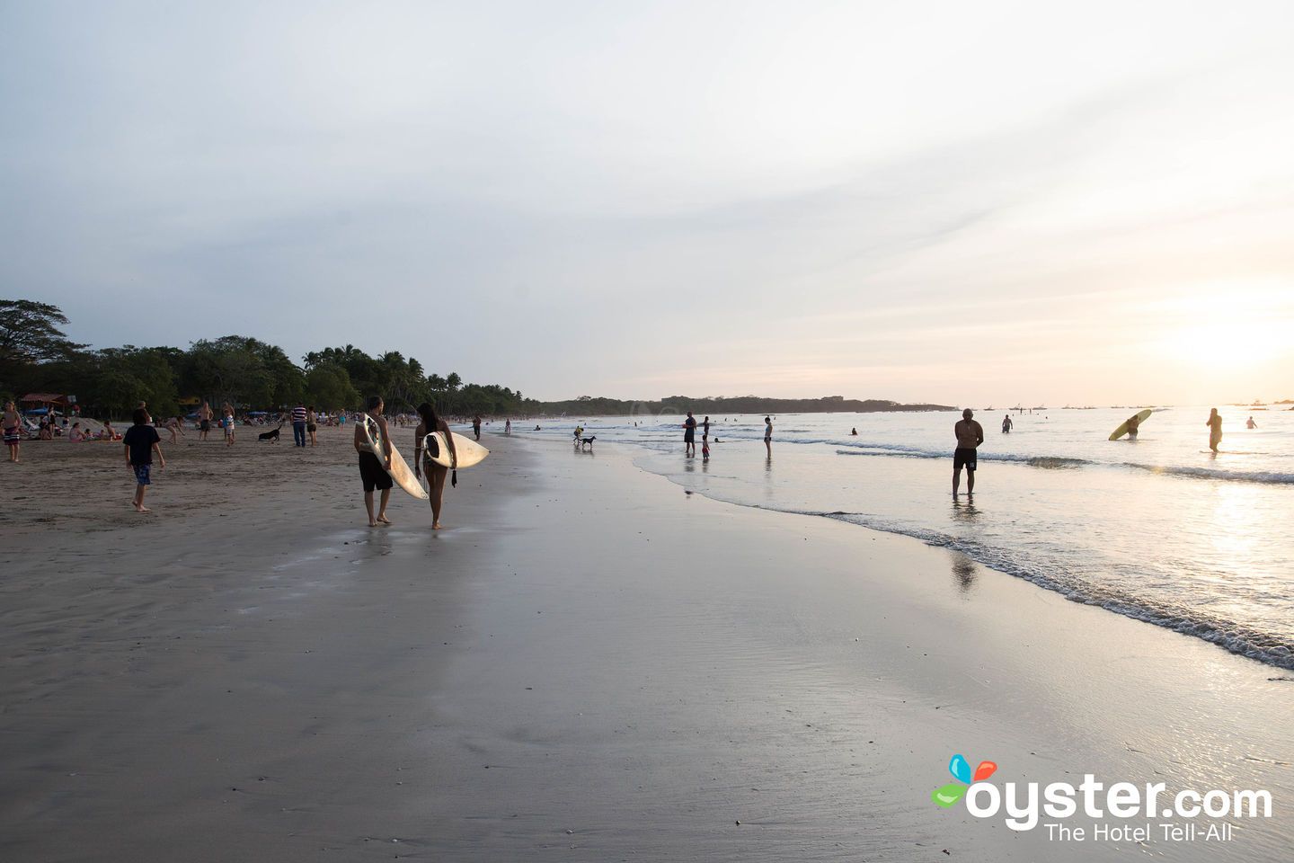 4 Super-Chill Surf Hotels That Hardcore Surfers Will Love