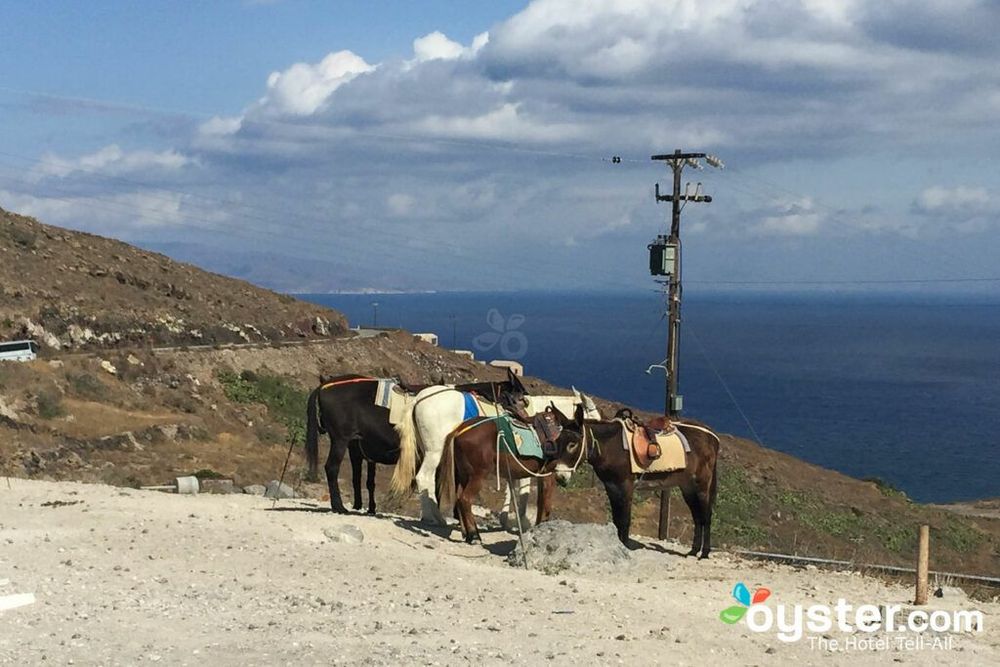 Top Tips for Hiking From Fira to Oia in Santorini | Oyster.com