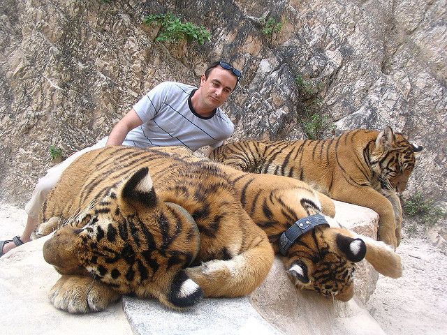 8 of the Most Controversial Animal Attractions Around the World