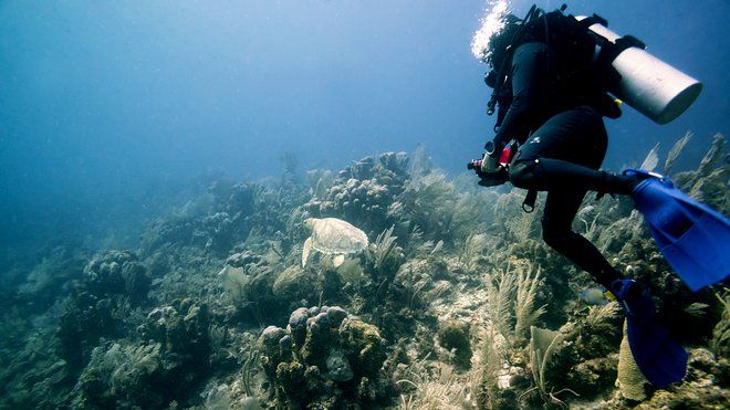 A Guide to Swimming, Diving, and Snorkeling in Riviera Maya | Oyster.com