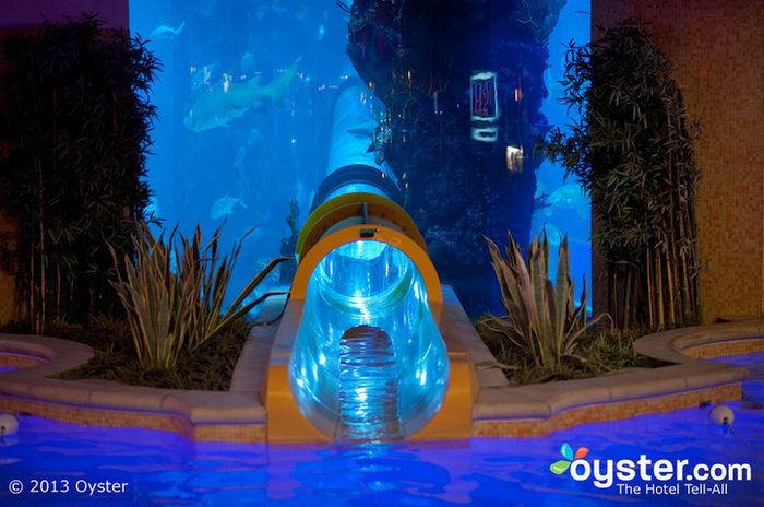 Cool Pools for Summer: 9 lugares desorbitados alrededor del mundo ...