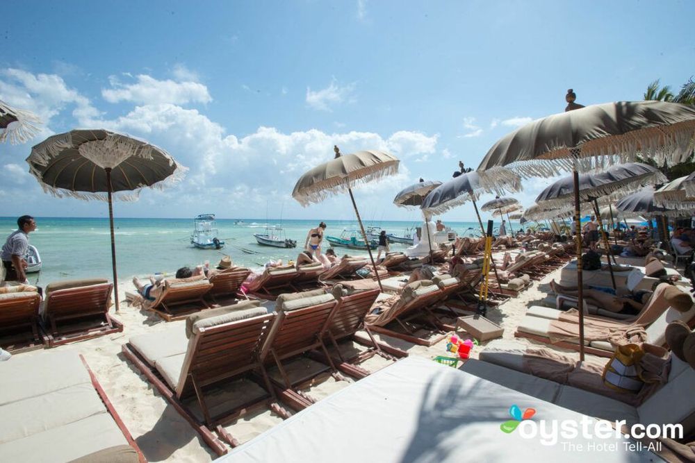 Expert Guide to Playa del Carmen's Hottest Beach Clubs