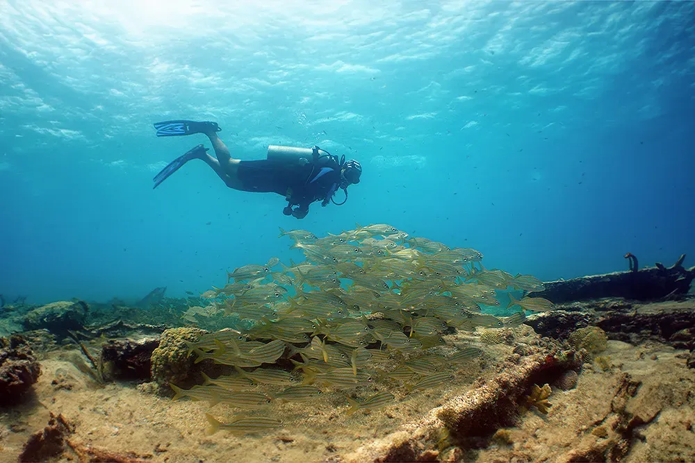 Is Aruba Safe? Essential Travel Safety Tips for Your Next Trip