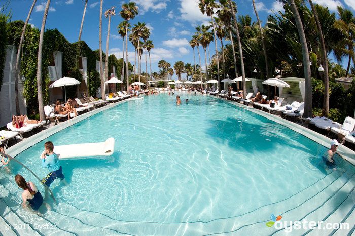 Stunning Miami Hotel Pools | Oyster.com