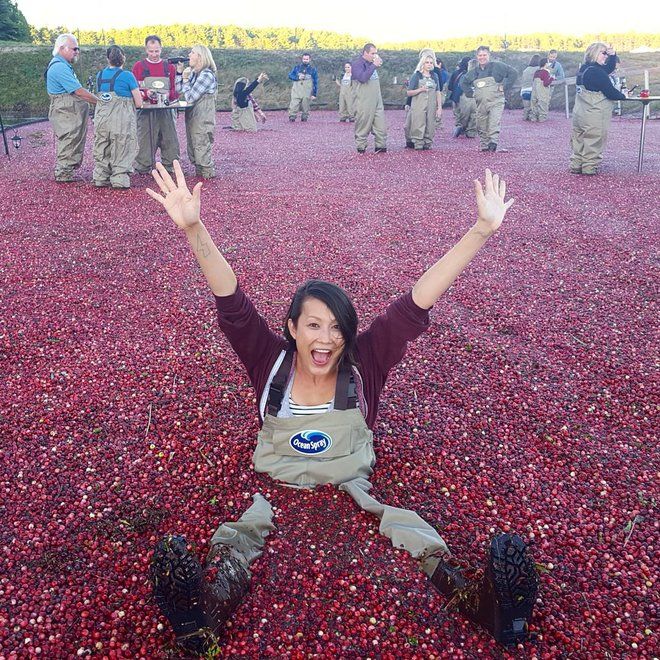 Tales From the Cranberry Bog: Inside a New England Harvest