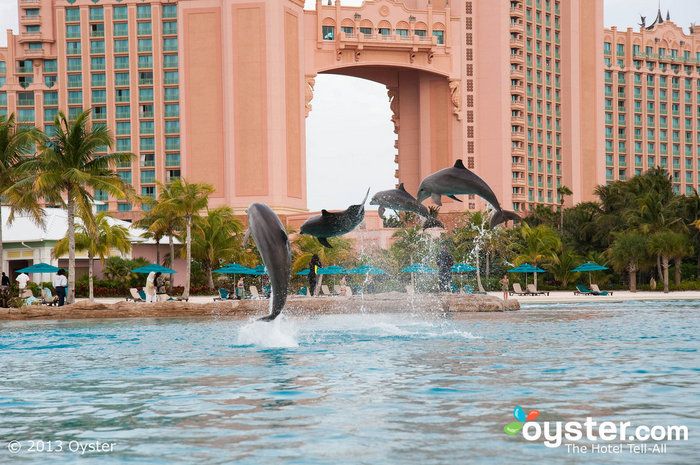 The 10 Best Adults-Only Pools EVER for a Sexy, Steamy Time | Oyster.com