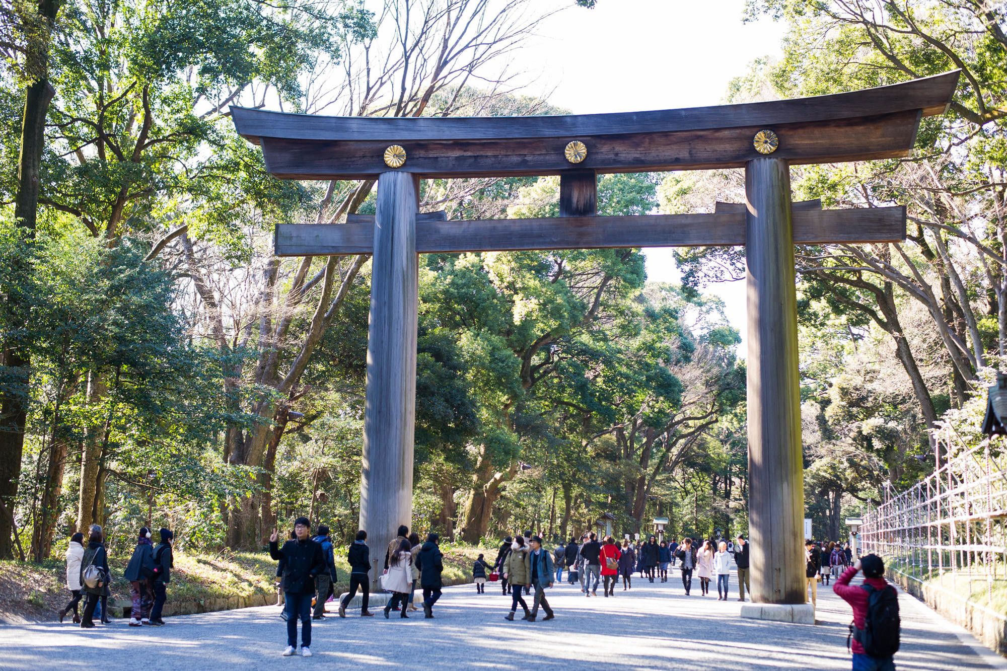 The 20 Best Things to Do in Tokyo: Tokyo Activities for Every Type of ...