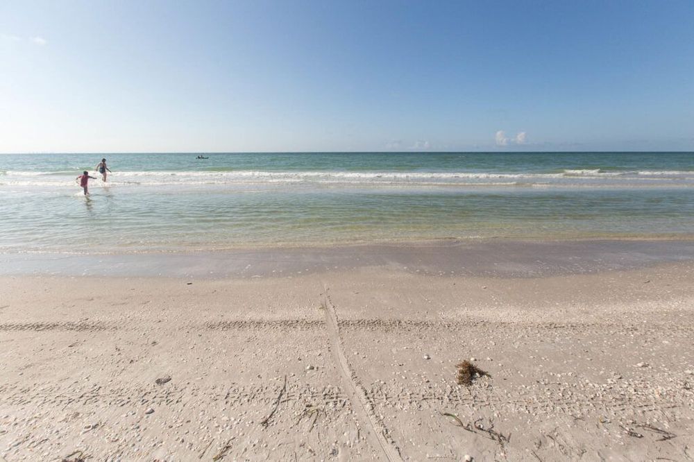 The Best Florida Family Spring Break Destinations and Hotels | Oyster