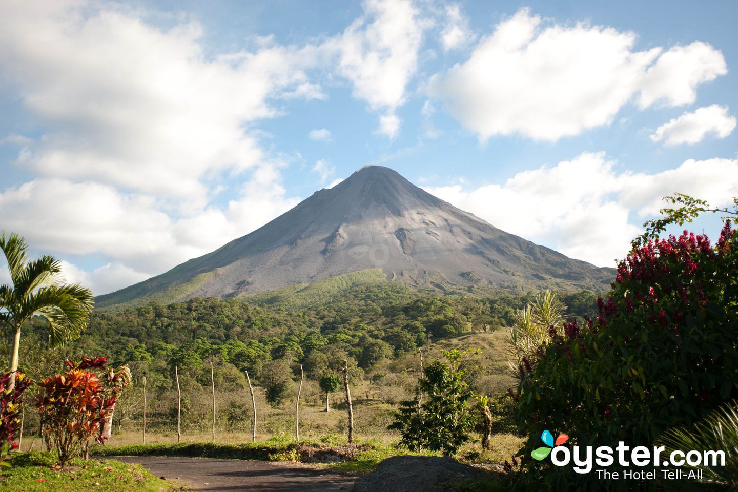Best Time to Visit Costa Rica