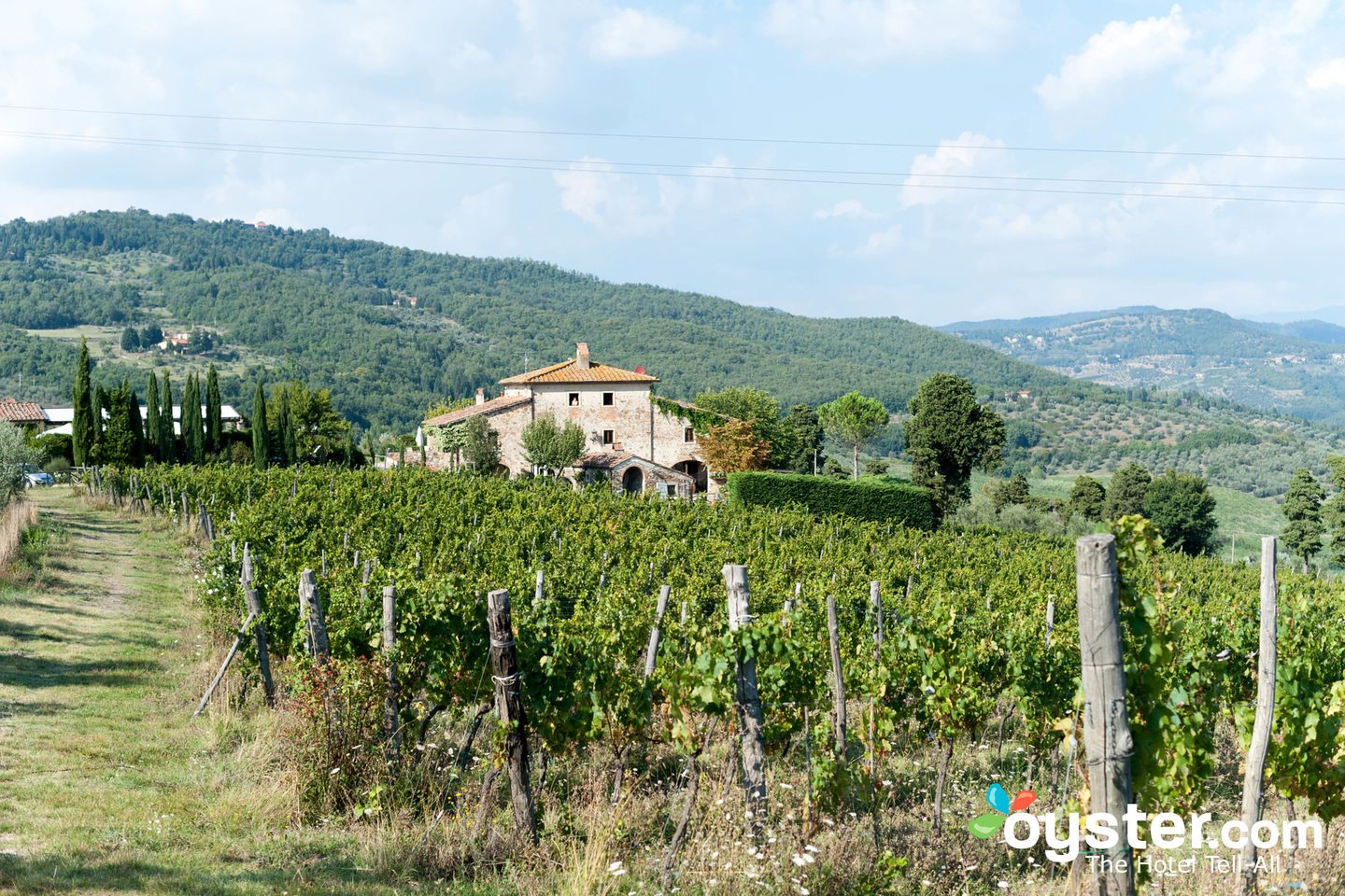 The Ultimate Guide to Italian Wine Regions
