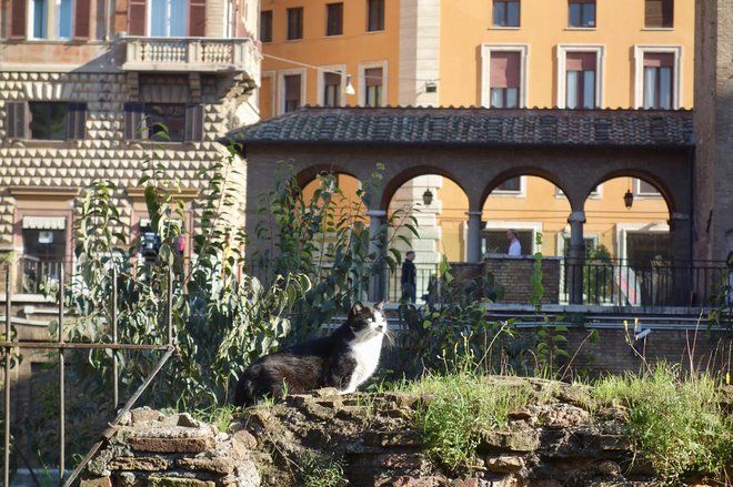 Hidden Gems in Rome: Cool Things to Do in Rome