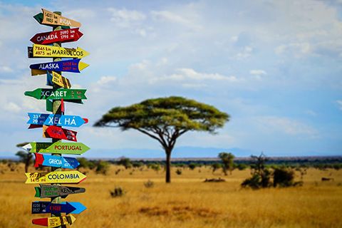 Why These 7 Colors Are Super Important in Some Countries