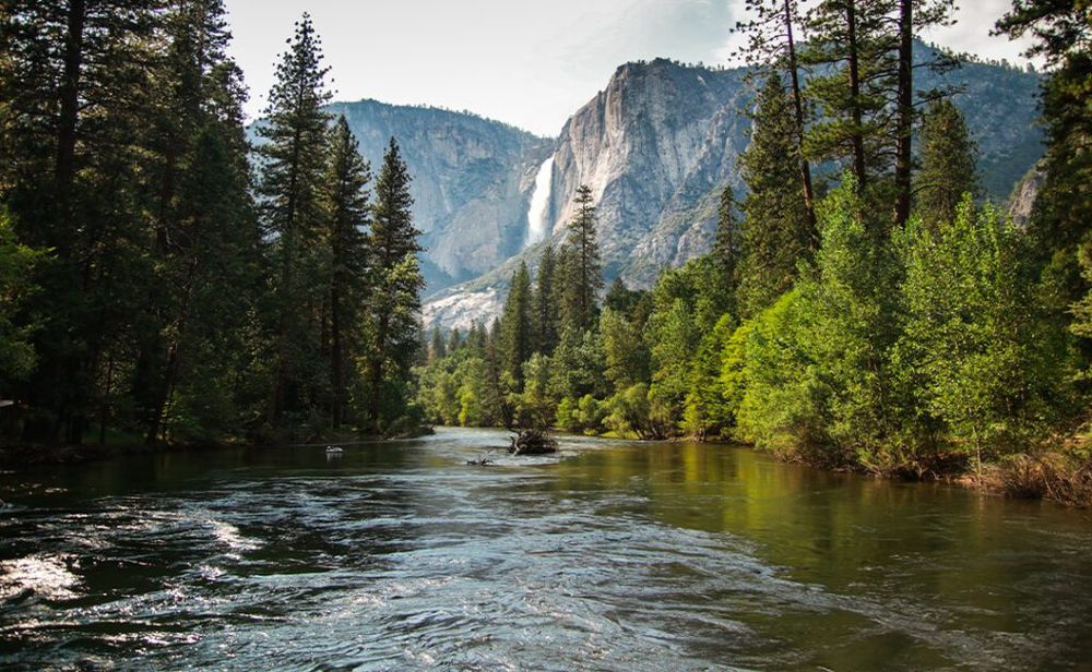 The Ultimate Yosemite National Park Info Guide