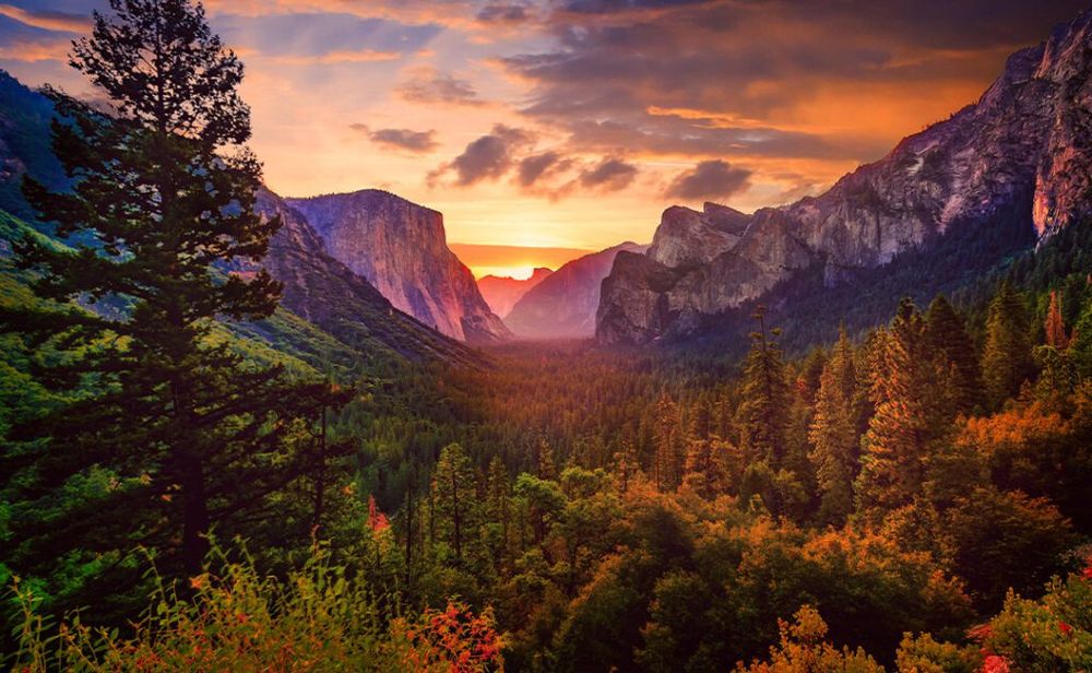 The Ultimate Yosemite National Park Info Guide