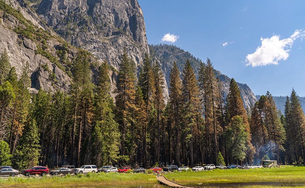 The Ultimate Yosemite National Park Info Guide