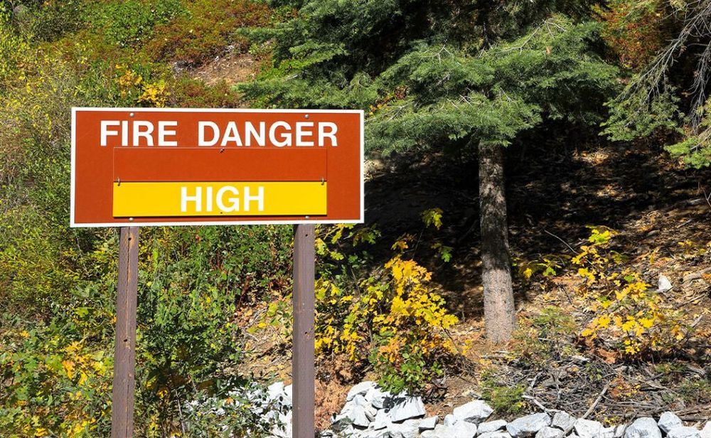 Essential Safety Tips for Your Yosemite National Park Trip | Oyster.com