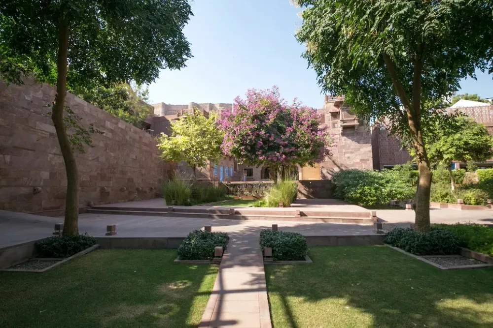 Raas Review: What To REALLY Expect If You Stay