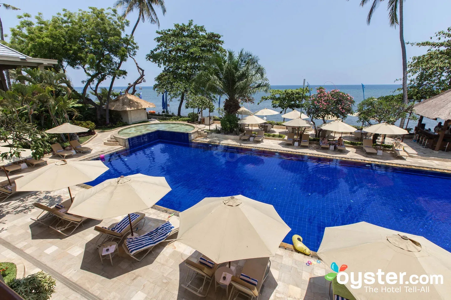 The Lovina Review: What To REALLY Expect If You Stay