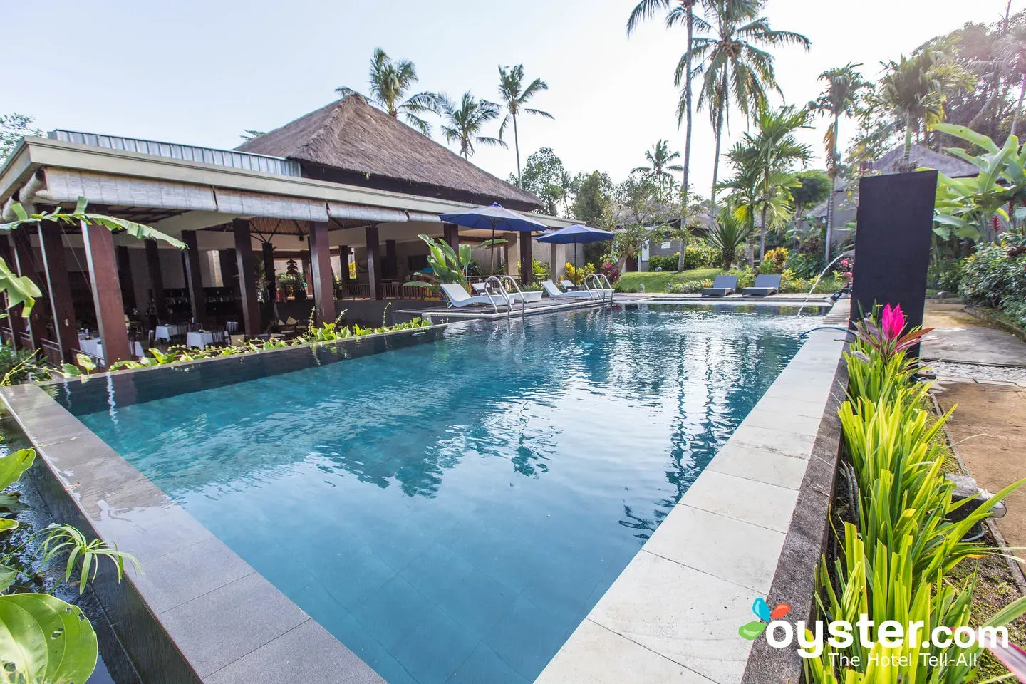 Ashoka Tree Resort Review: What To REALLY Expect If You Stay