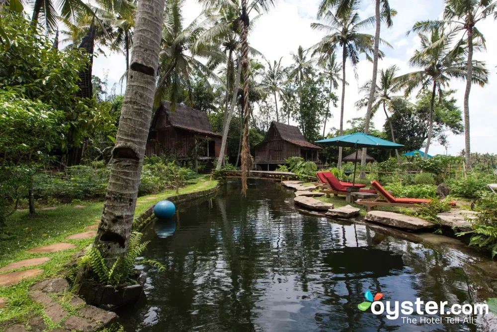 Bambu Indah Review: What To REALLY Expect If You Stay | Oyster.com
