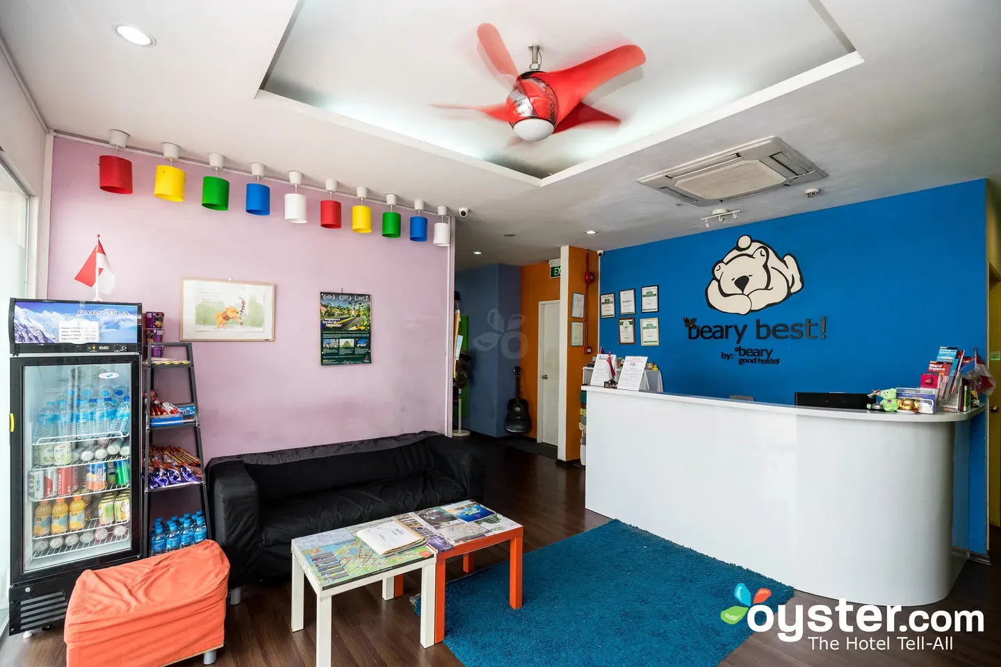 Beary Best! by a Beary Good Hostel! Review: What To REALLY Expect If ...