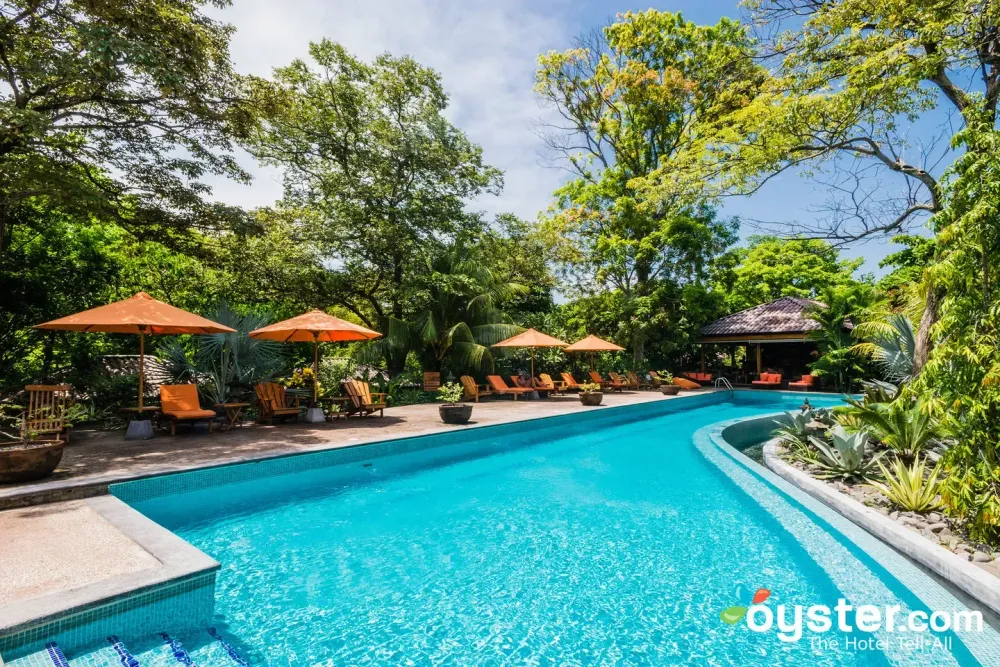 Bodhi Tree Yoga Resort Review: What To REALLY Expect If You Stay