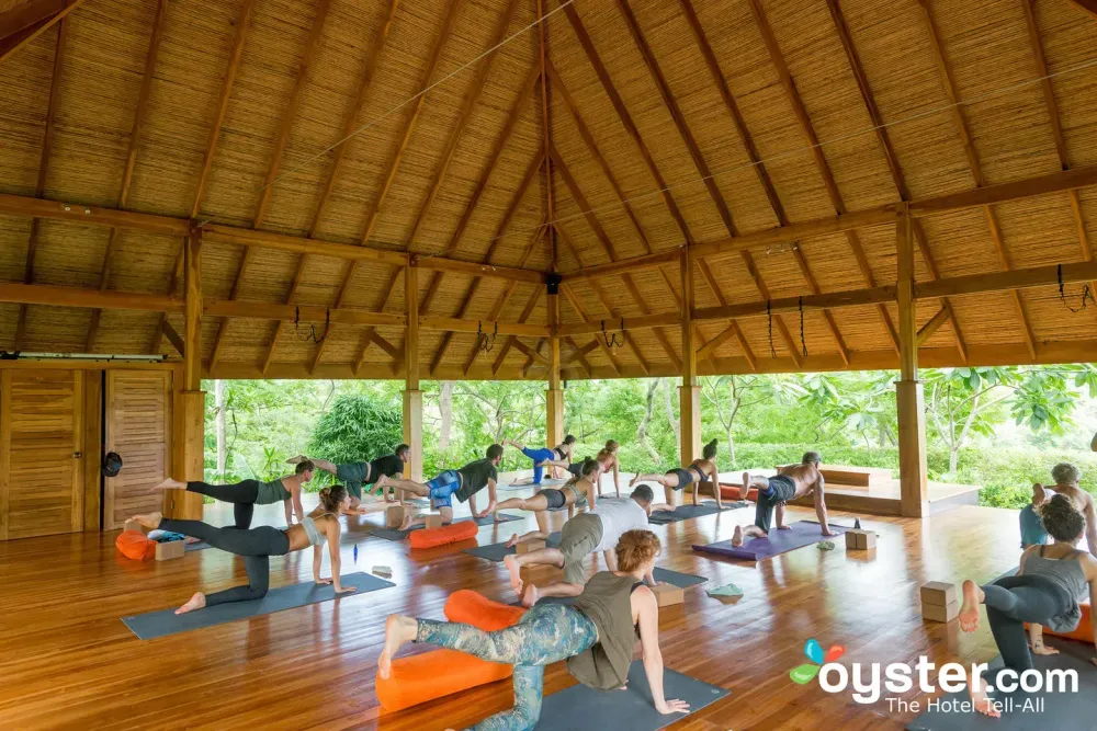 Bodhi Tree Yoga Resort Review: What To REALLY Expect If You Stay