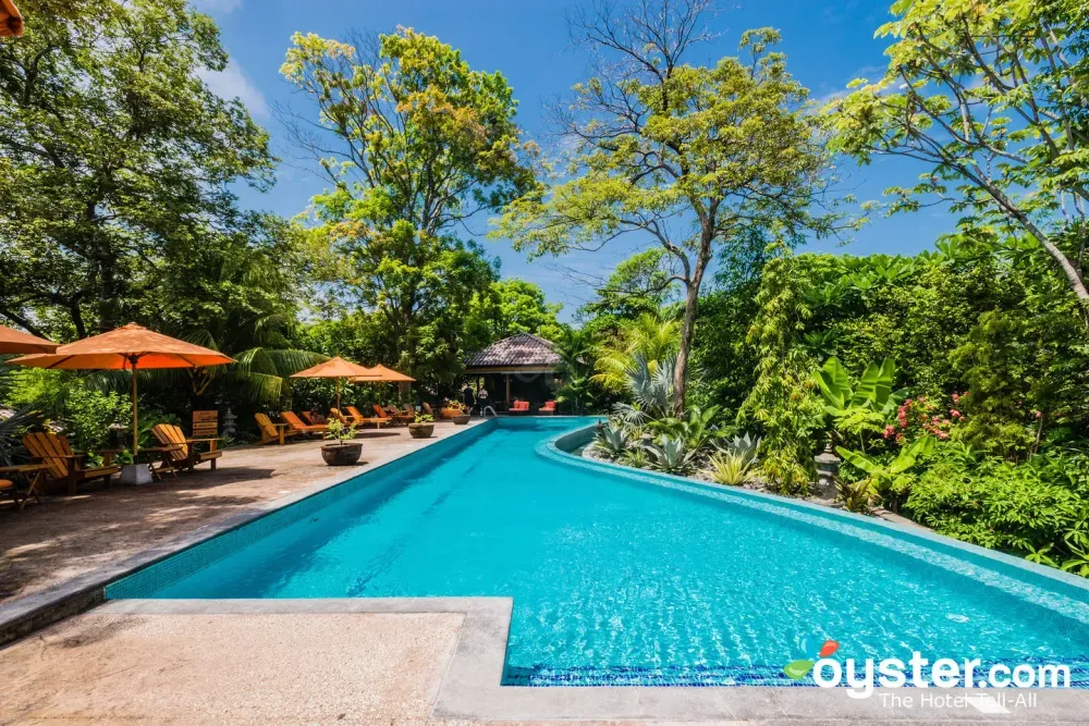 Bodhi Tree Yoga Resort Review: What To REALLY Expect If You Stay