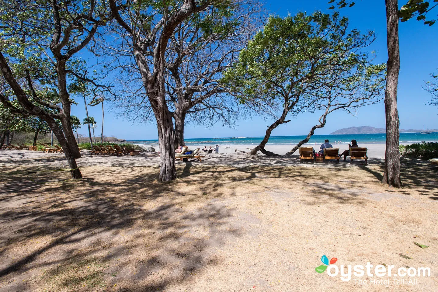 Capitán Suizo Beachfront Boutique Hotel Review: What To REALLY Expect ...