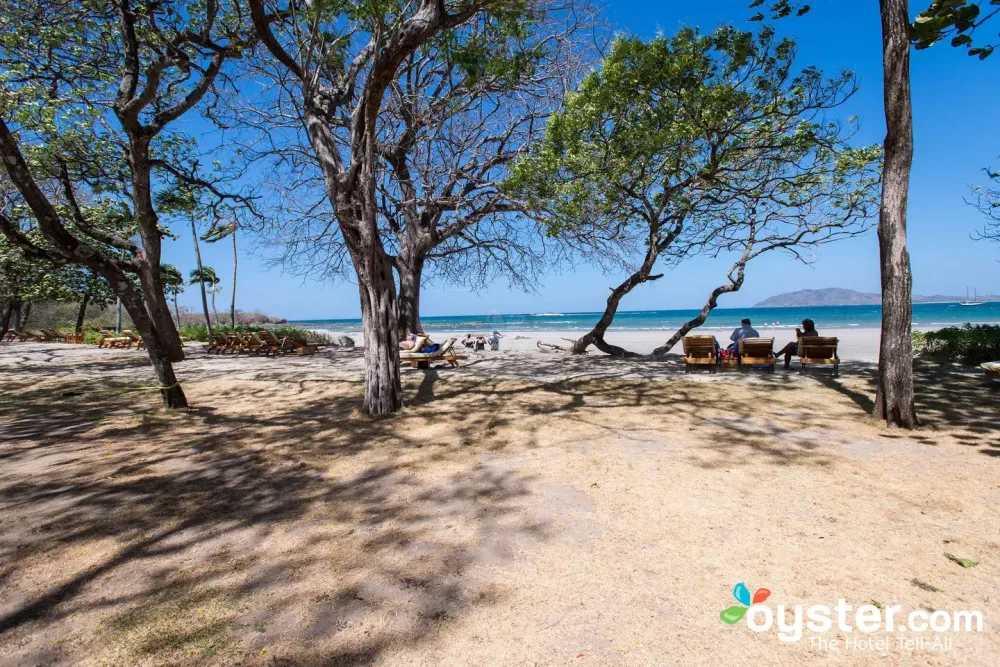 Capitán Suizo Beachfront Boutique Hotel Review: What To REALLY Expect ...