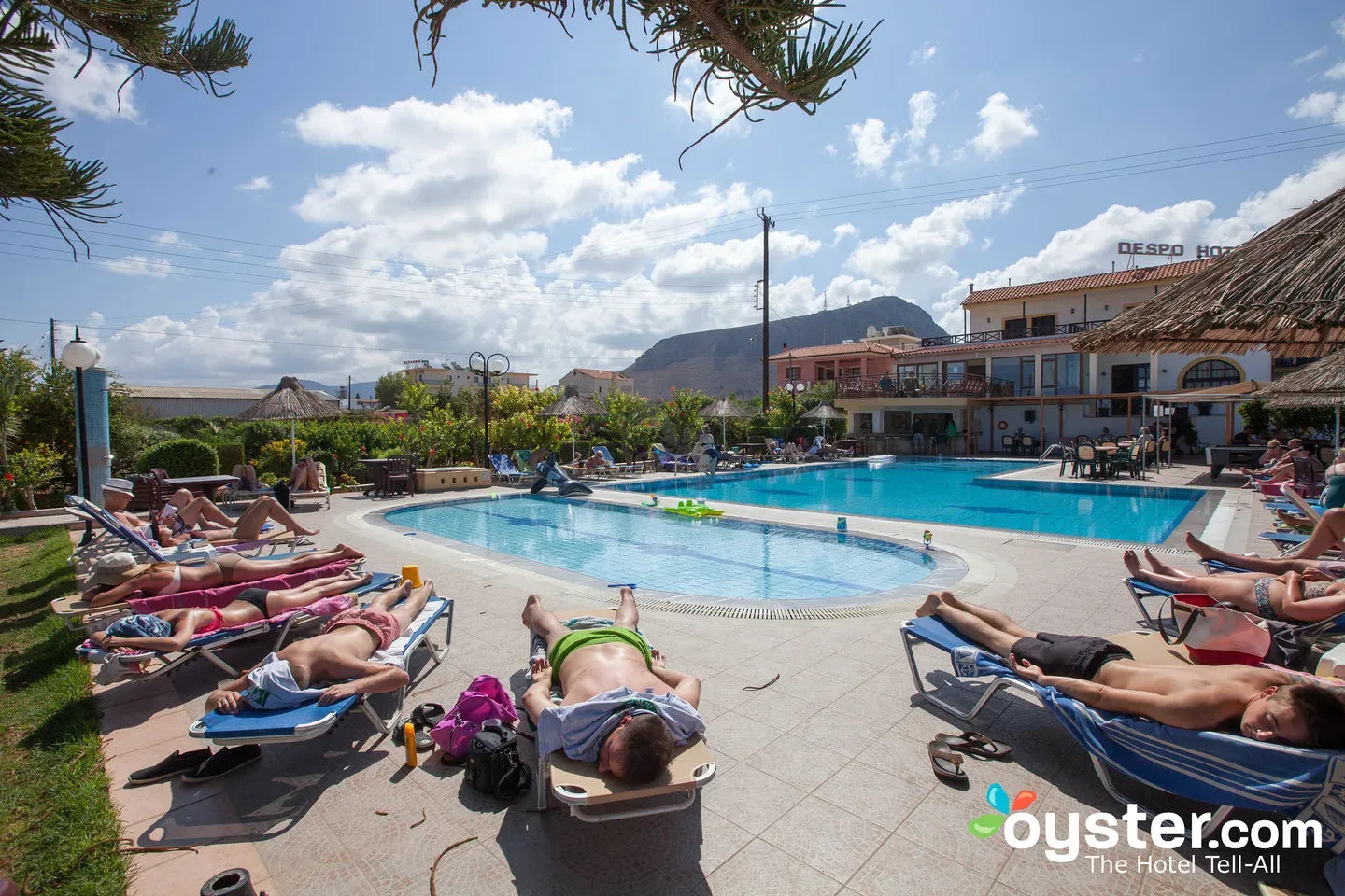 Despo Review: What To REALLY Expect If You Stay