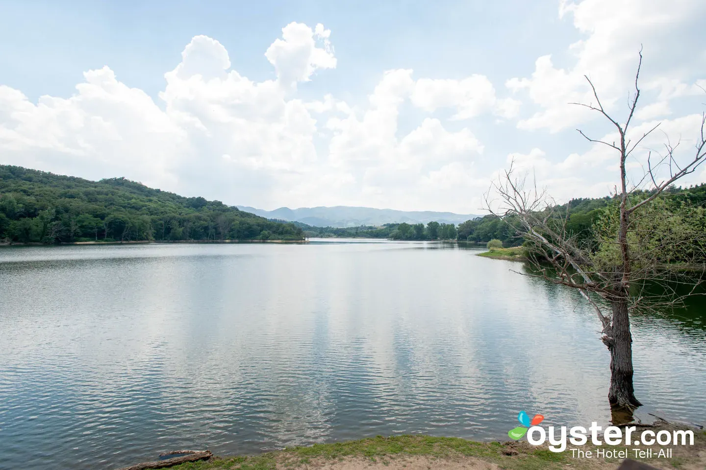 Hotel del Lago Review: What To REALLY Expect If You Stay