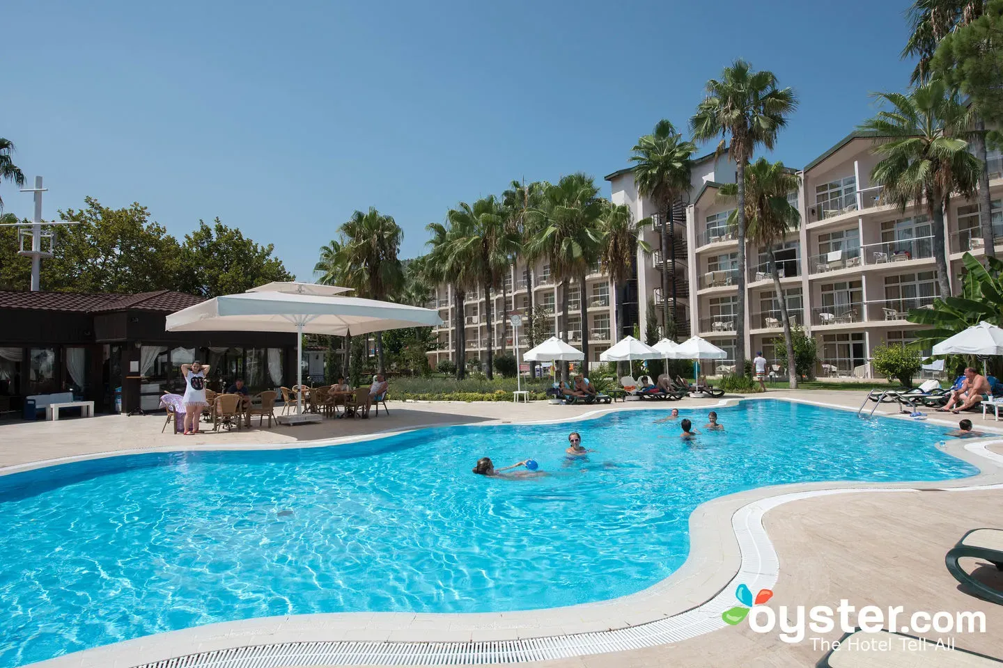 Alva Donna World Palace Review: What To REALLY Expect If You Stay