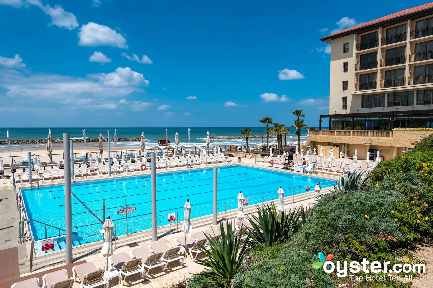 Dan Accadia Hotel Herzliya Review: What To REALLY Expect If You Stay ...