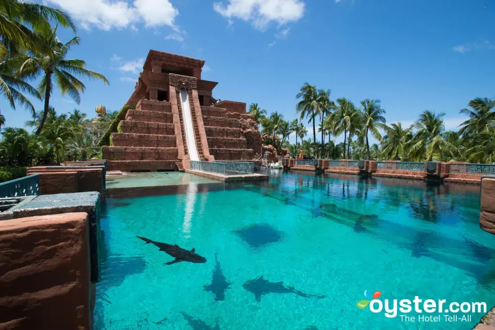 The Royal at Atlantis Review: What To REALLY Expect If You Stay