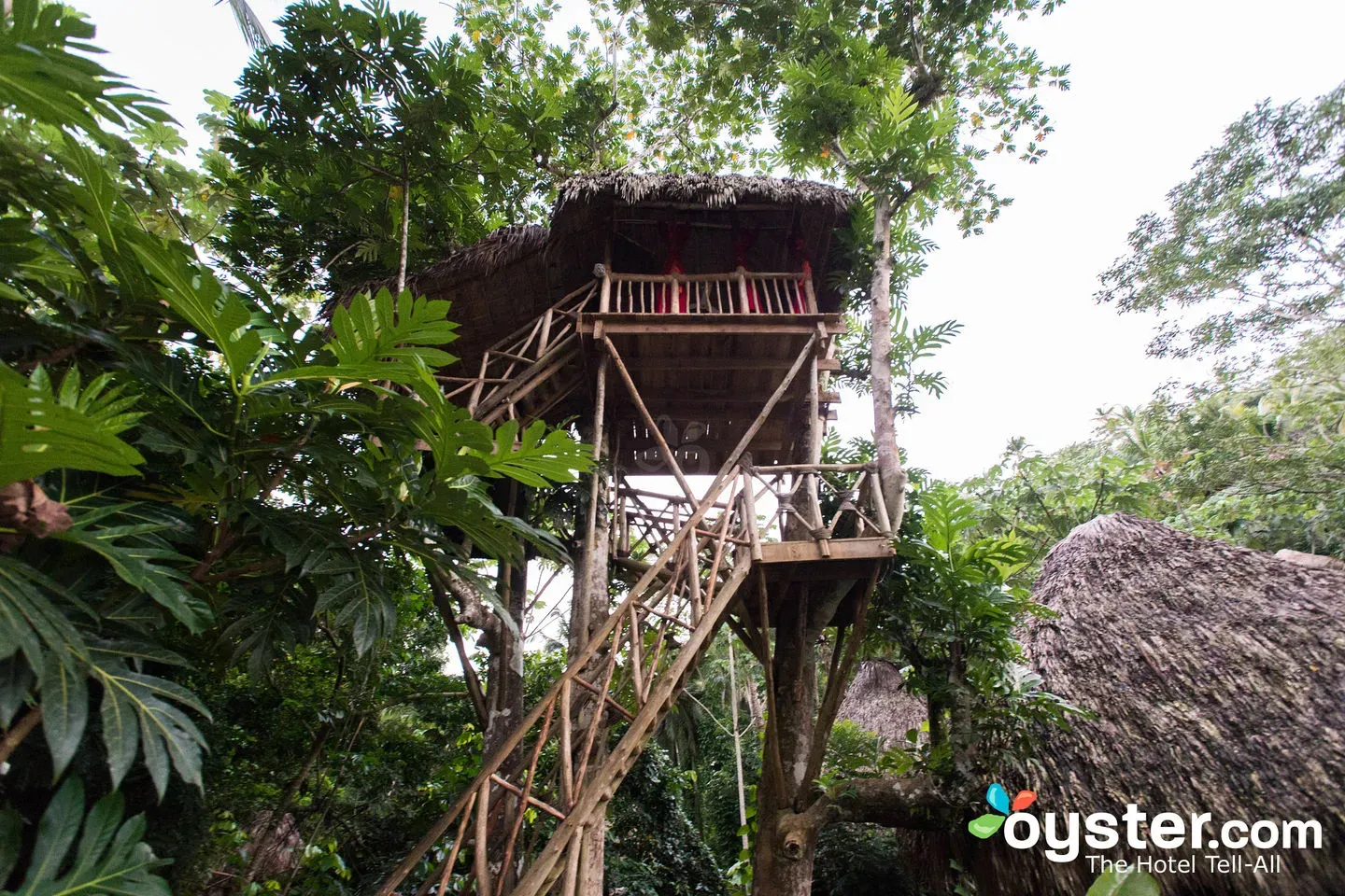 Dominican Tree House Village Review: What To REALLY Expect If You Stay ...