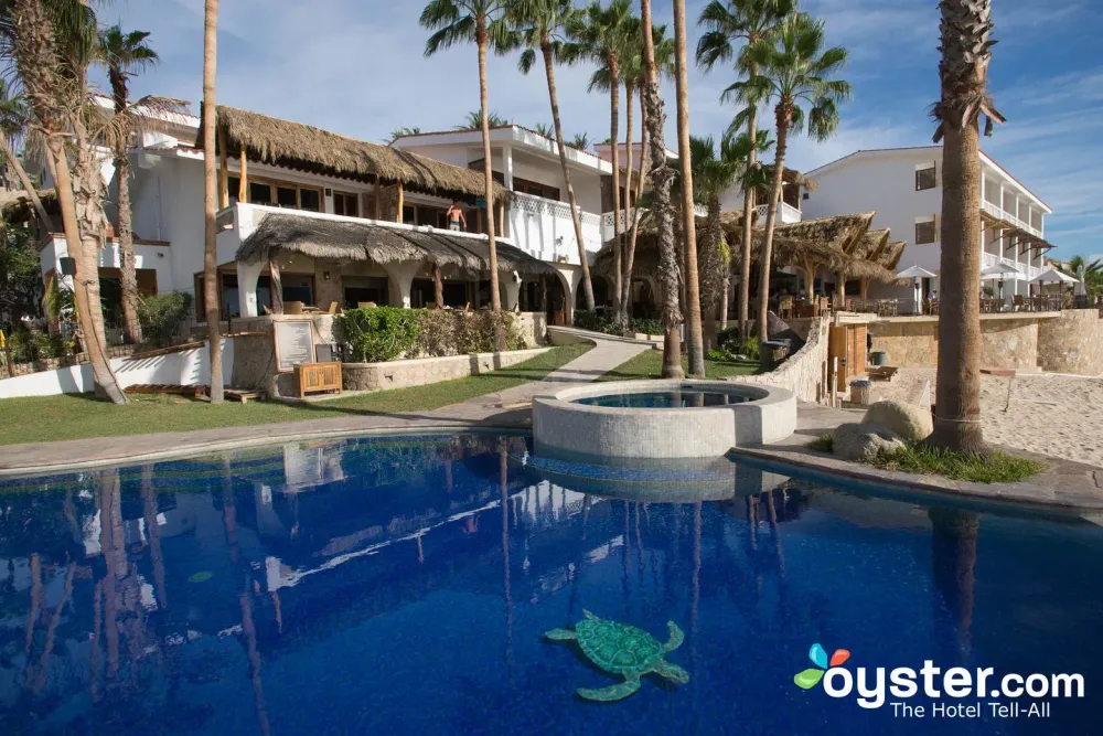 Cabo Surf Hotel Review: What To REALLY Expect If You Stay