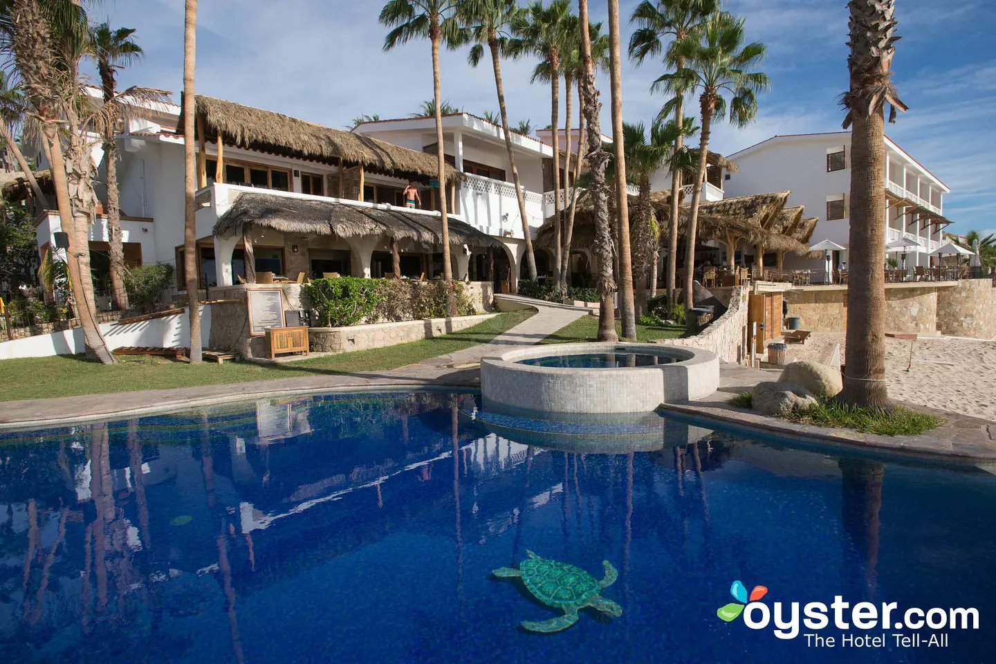 Cabo Surf Hotel Review: What To REALLY Expect If You Stay