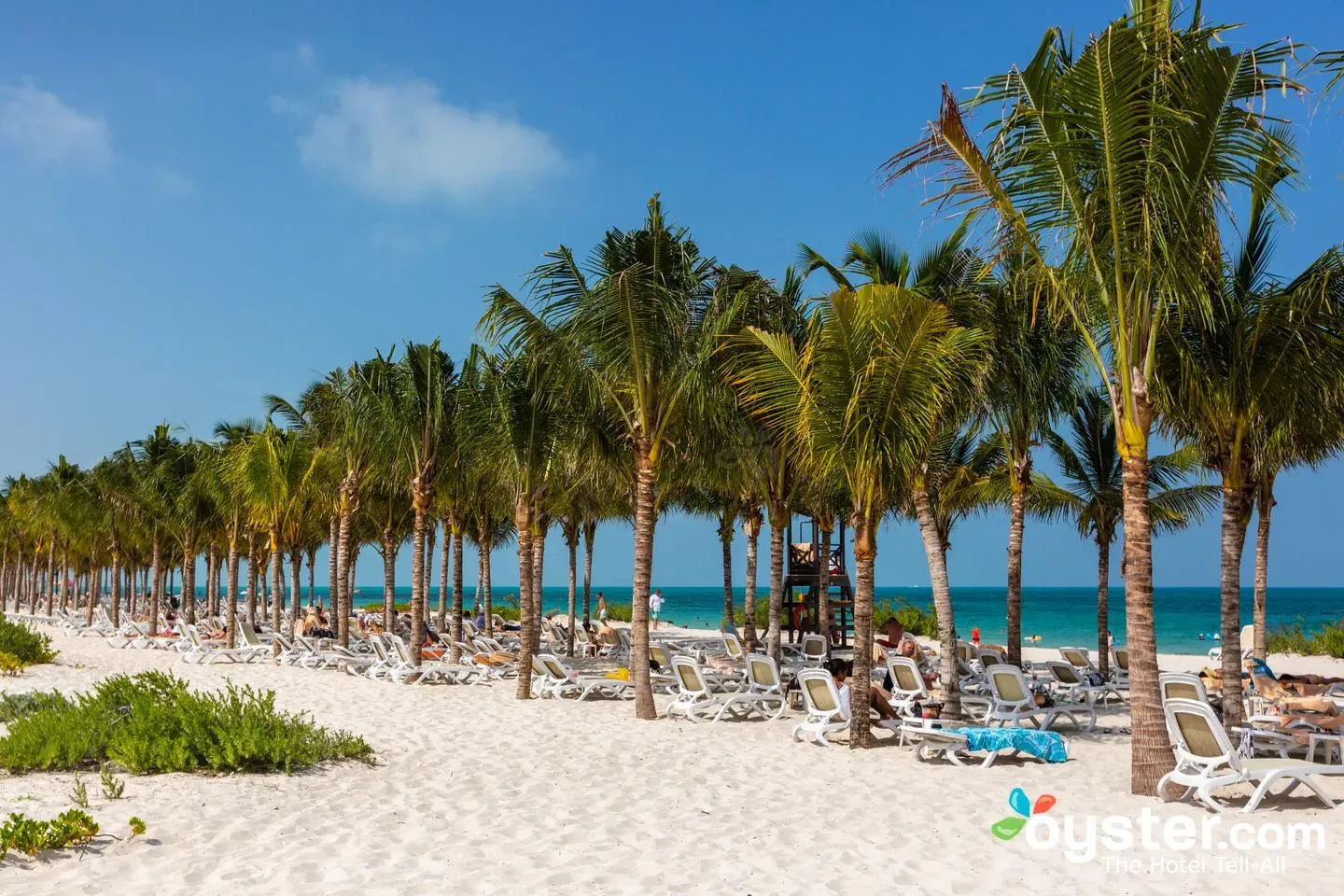 Hotel Riu Dunamar Review: What To REALLY Expect If You Stay